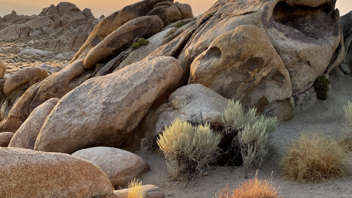 {苹果, 自然景观, 木, 形成, 露头 Laptop 壁纸，1366x768 花卉 图片，桌面背景和图片。
