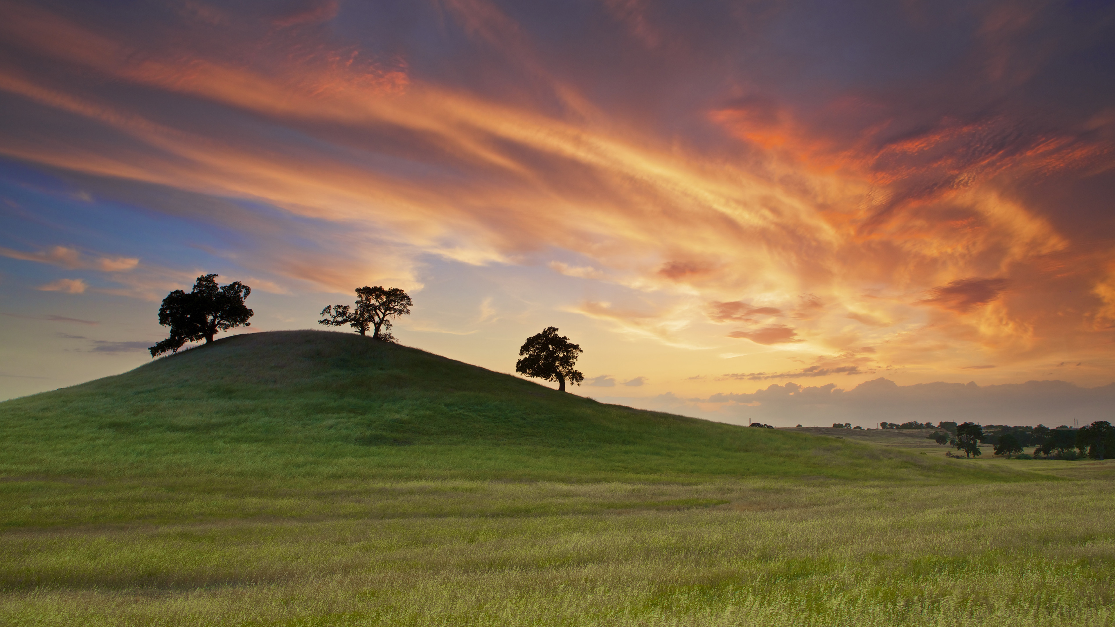 Fondos de Pantalla Campo de Hierba Verde Bajo el Cielo Azul y Naranja ...