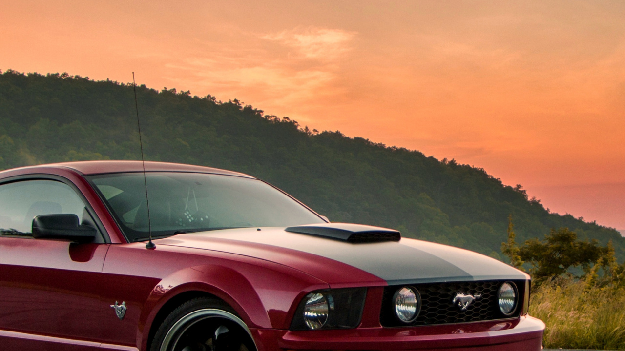 Wallpaper Ford Mustang, Cars, Boss 302 Mustang, Luxury Car, Sports Car ...