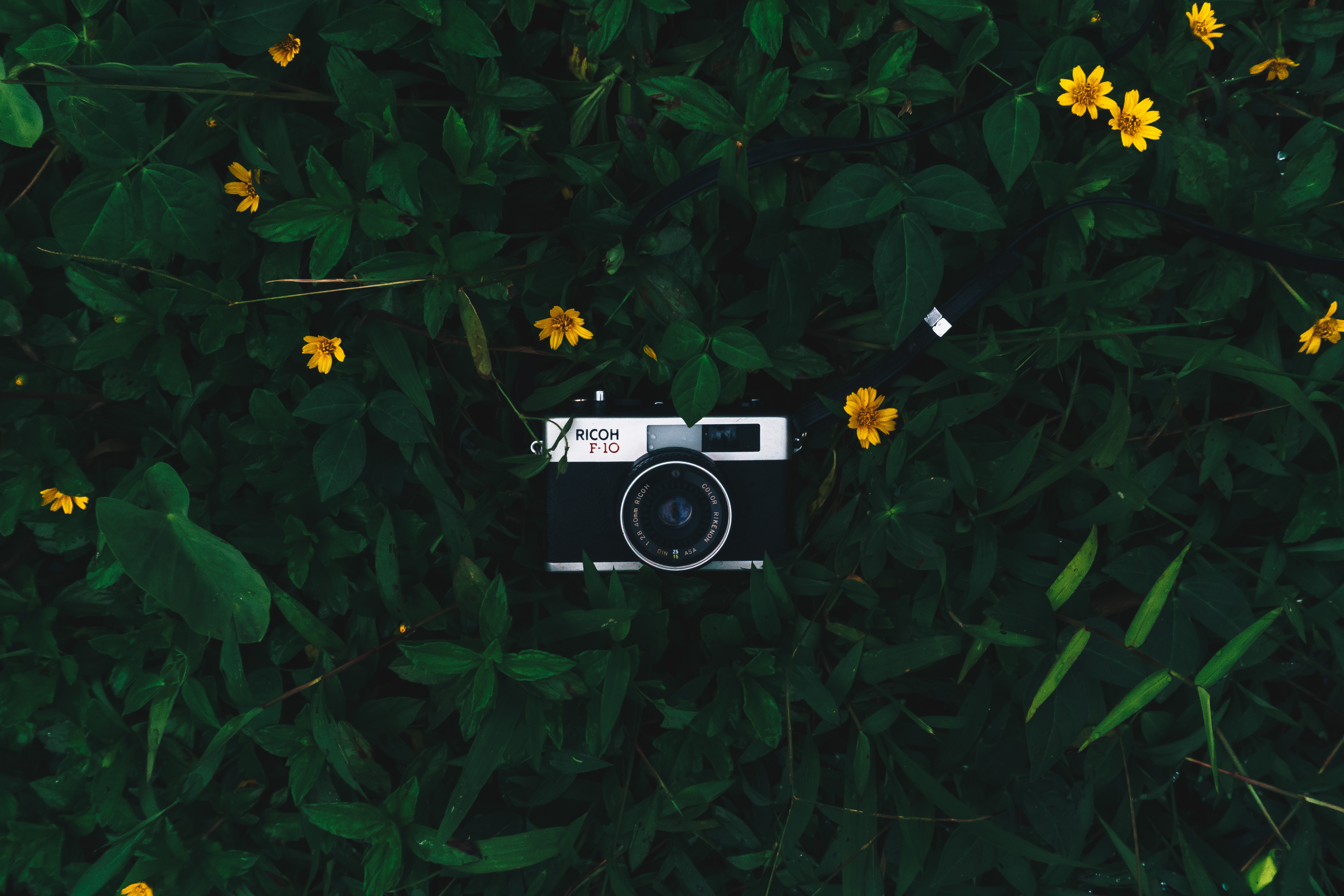 camera desktop wallpaper 4k