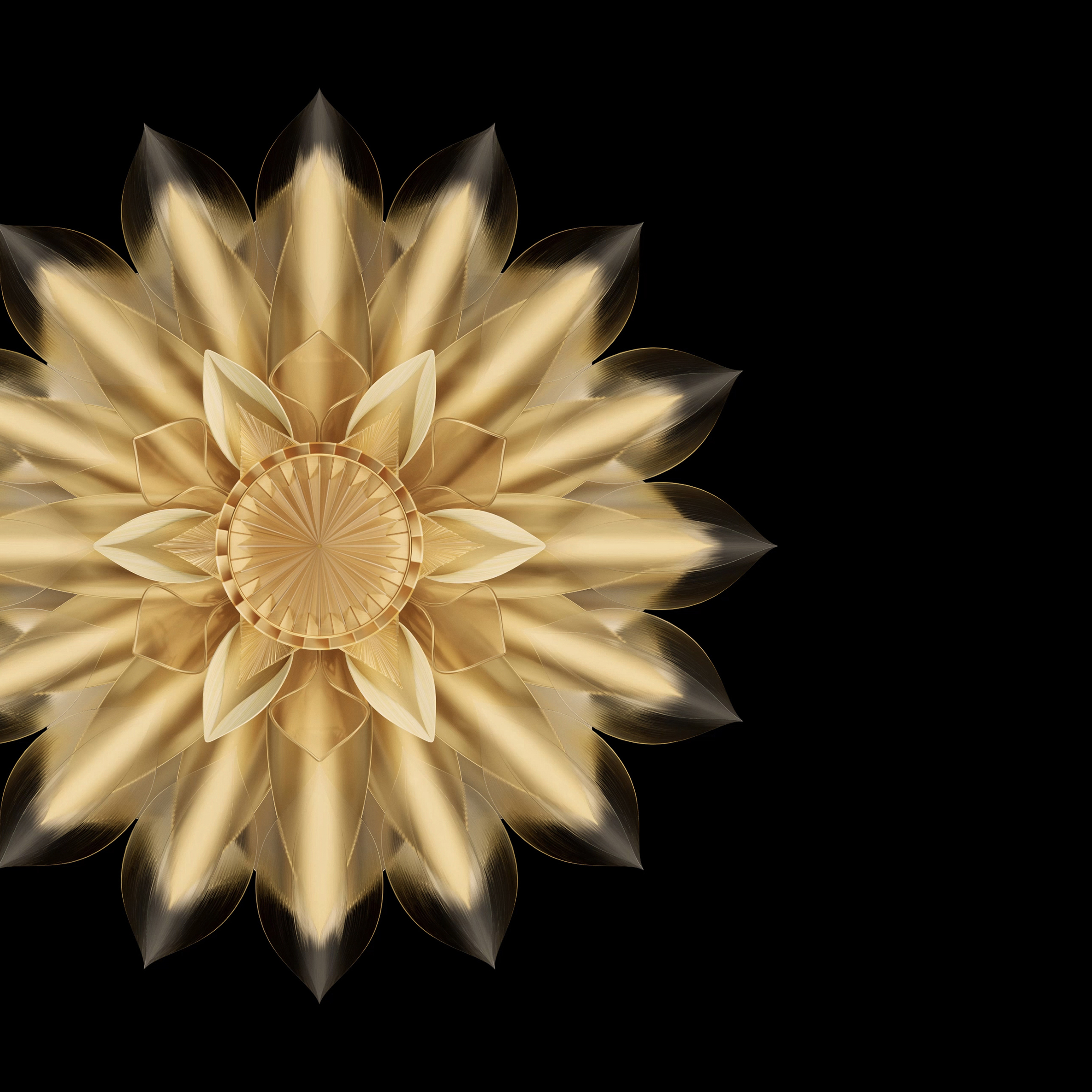 荣耀Magic V2, 智能手机, 荣耀Magic5 Lite 5G, 荣耀 Magic V3 5G 双卡, 和阴影的色彩 高清壁纸，花卉 ...