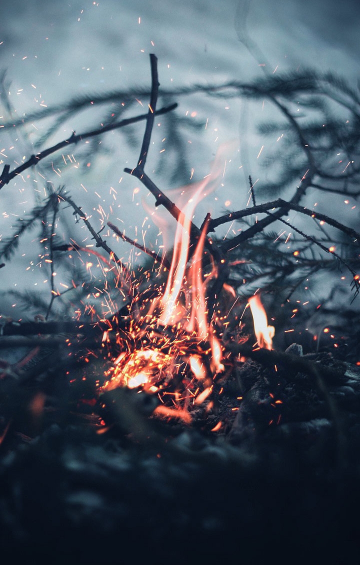 Wallpaper Branch, Twig, Fire, Wood, Flame, Background - Download Free Image