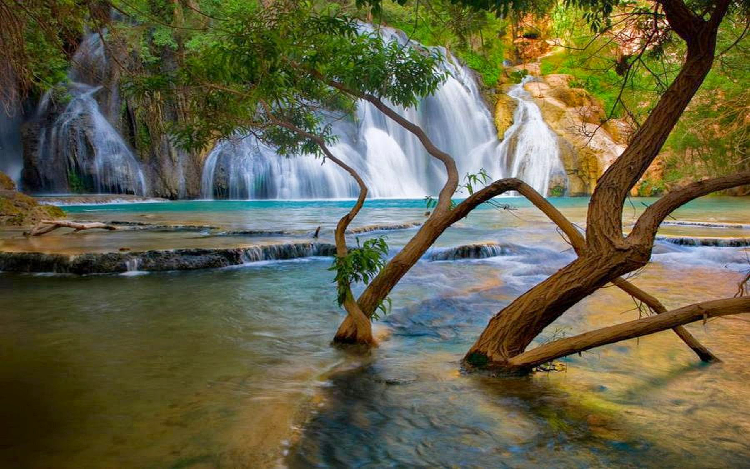 Wallpaper Brown Tree Branch on Water Falls, Background - Download Free ...