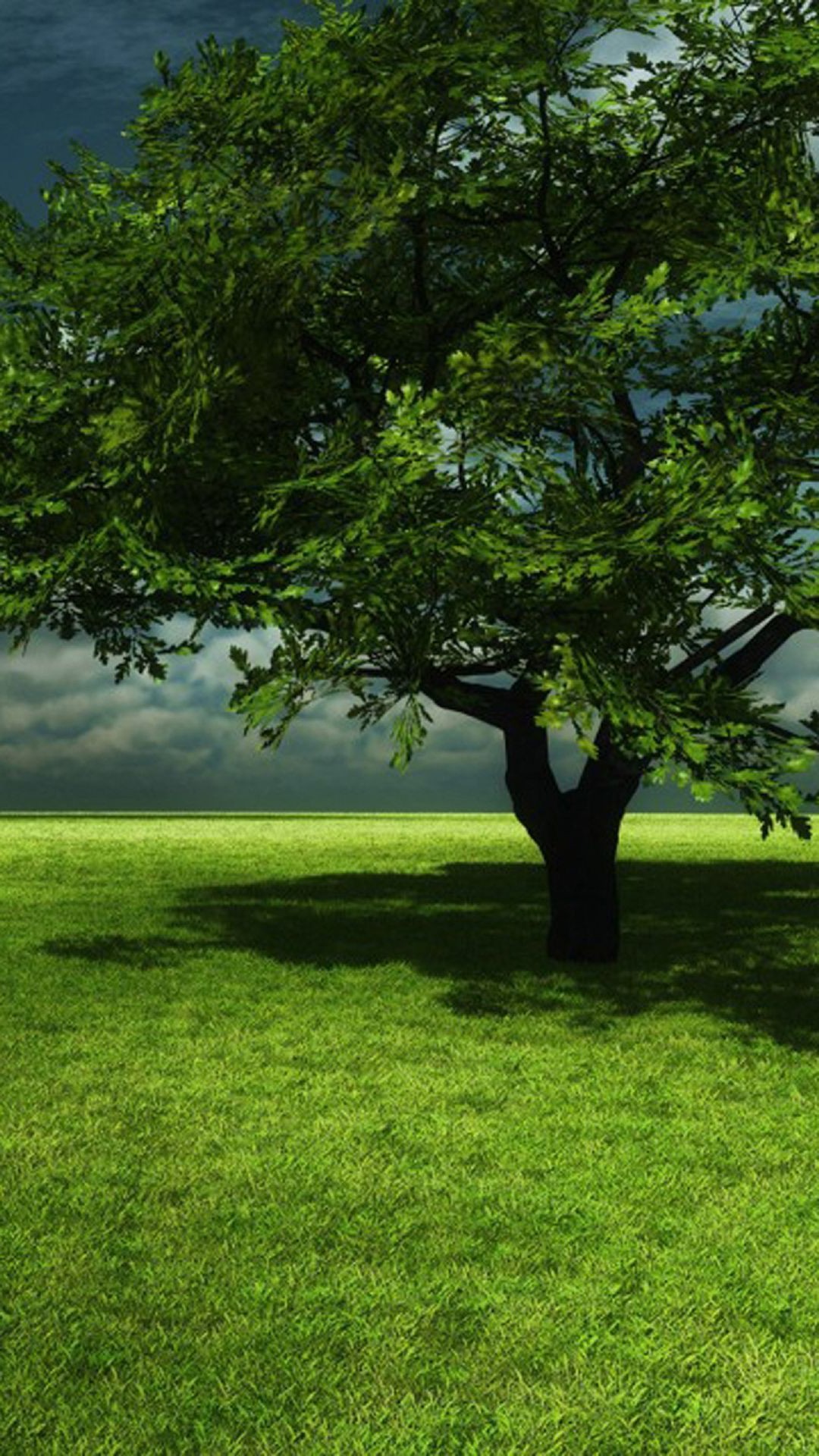 Wallpaper Green Tree on Green Grass Field During Daytime, Background ...