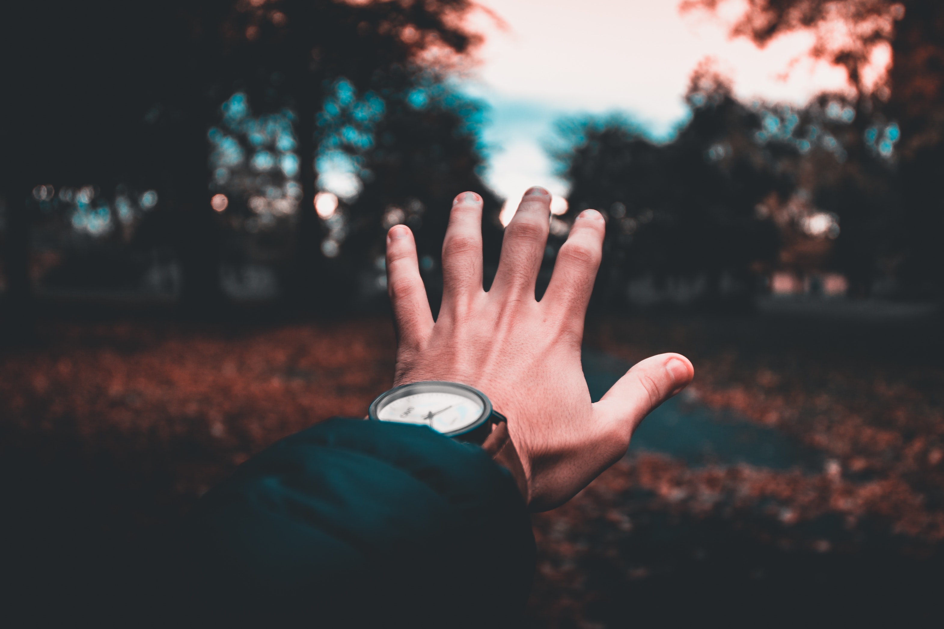 Wallpaper Person in Black Long Sleeve Shirt Raising Left Hand ...