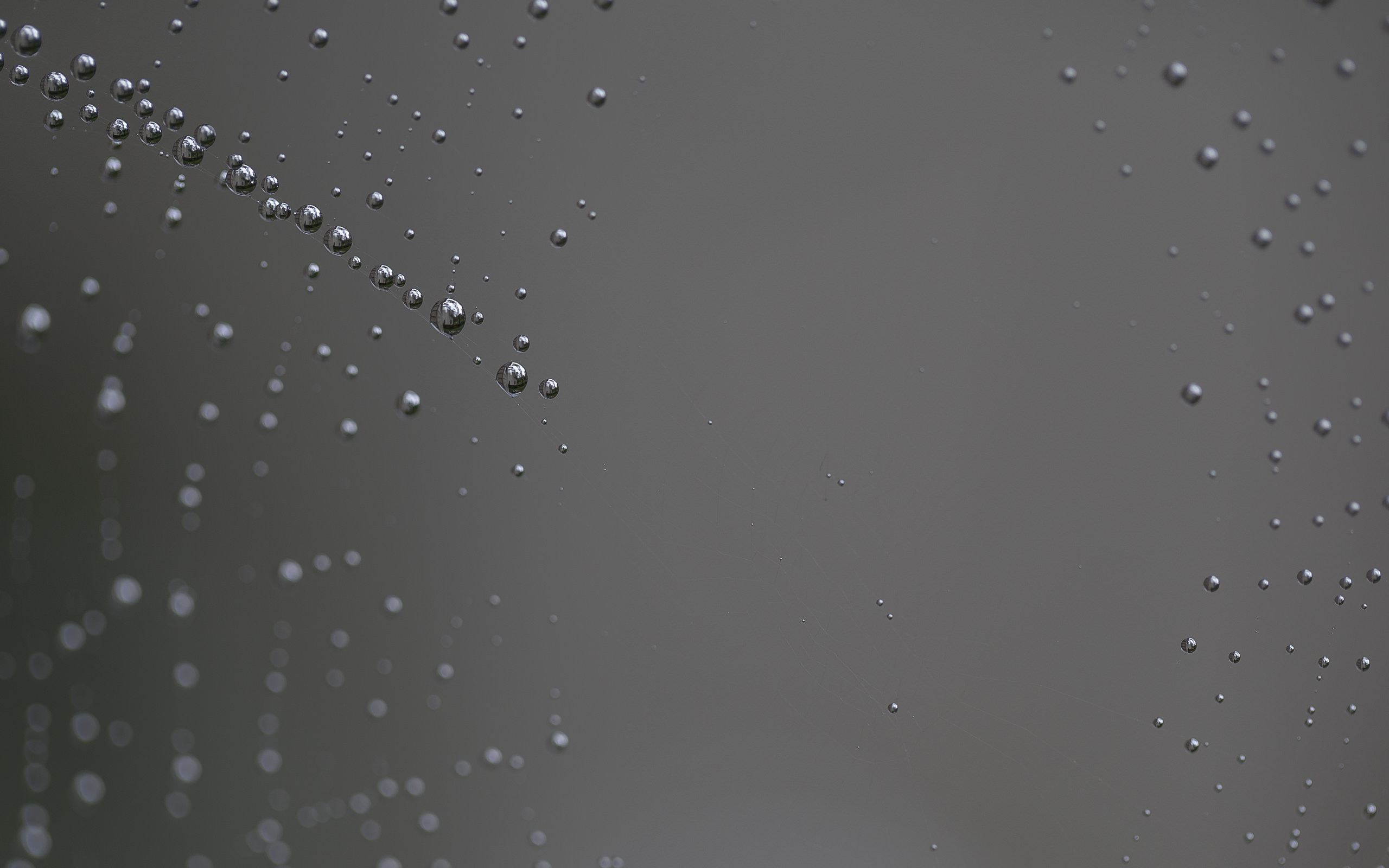 Wallpaper Water Droplets on Clear Glass, Background - Download Free Image