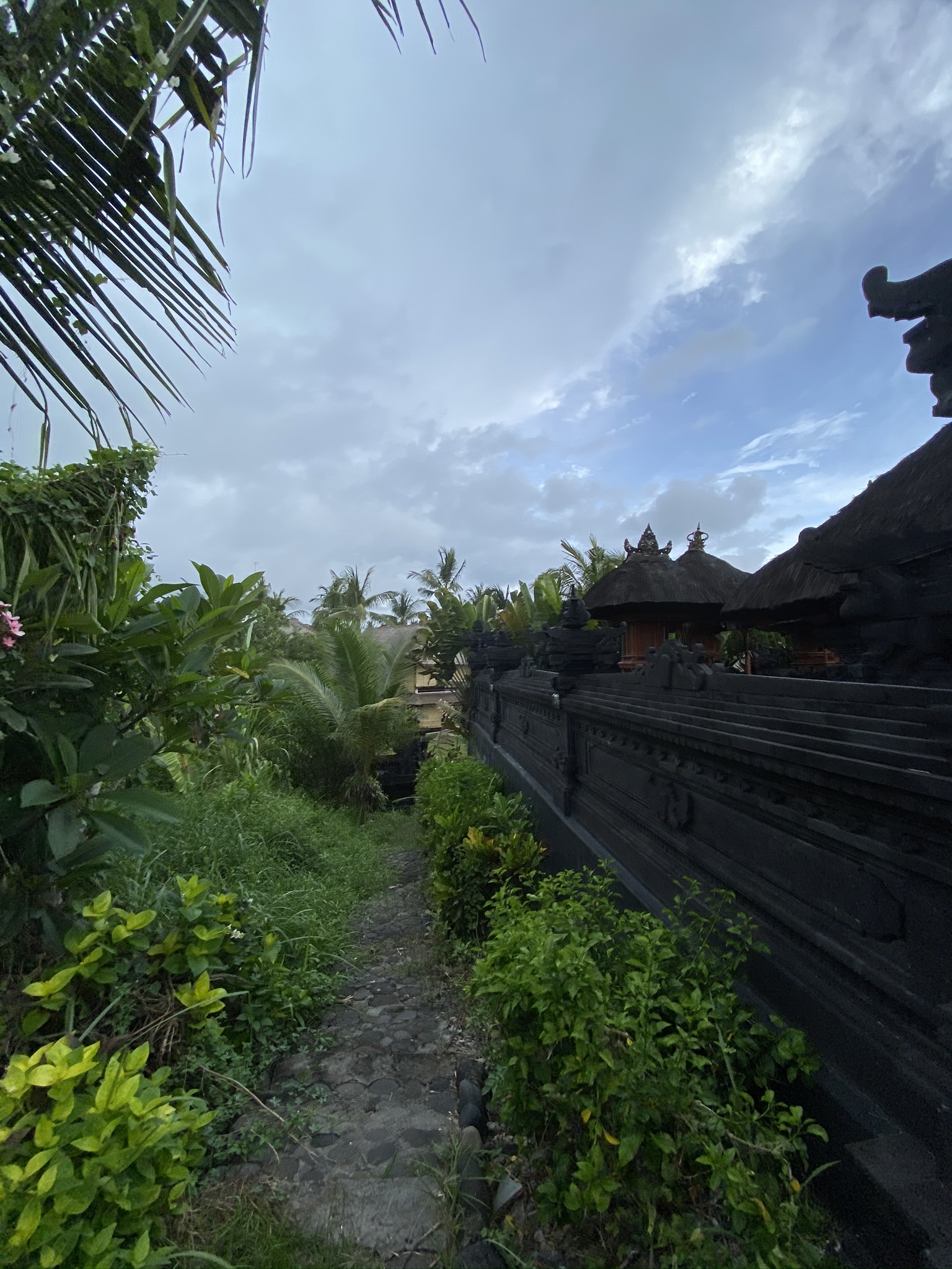 Wallpaper Bali, Vegetation, Rural Area, Plantation, Garden, Background ...