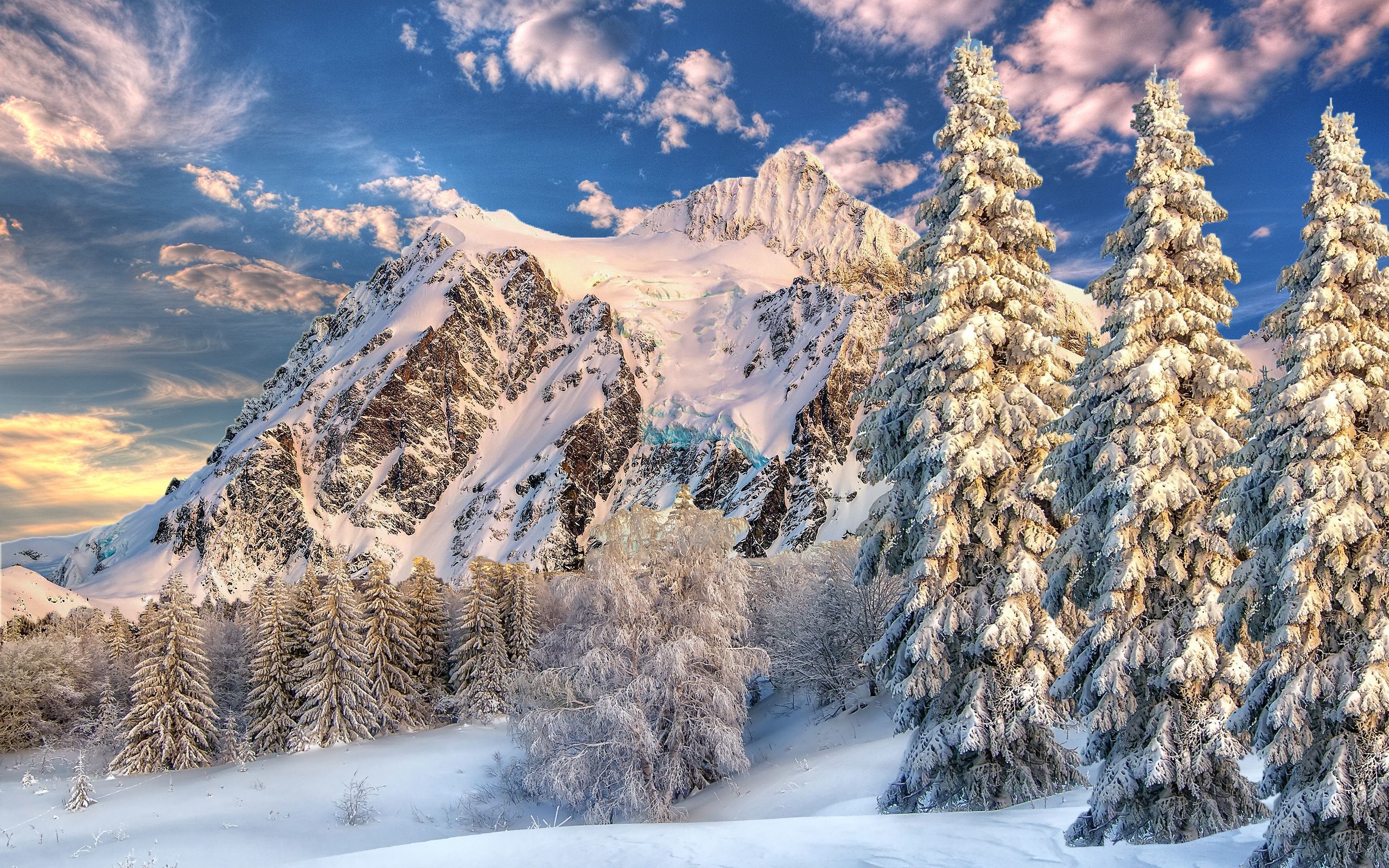 Wallpaper Snow Covered Trees and Mountains During Daytime, Background ...