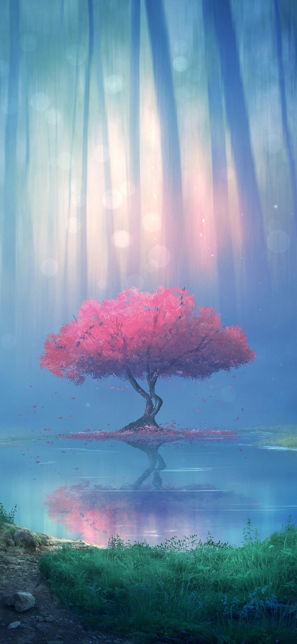 Wallpaper Nature, Soundcloud, Water, Atmosphere, Plant, Background ...