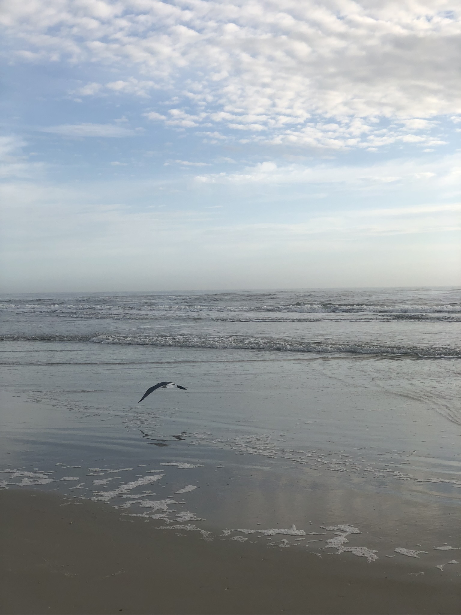 Wallpaper Mudflat, Water, Tide, Body of Water, Fluid, Background ...