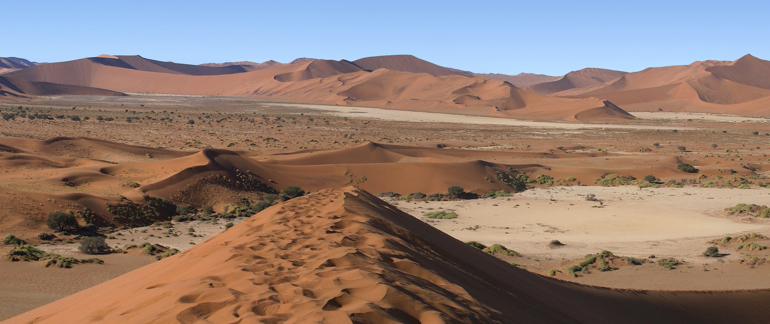 Wallpaper Brown Sand Field During Daytime, Background - Download Free Image
