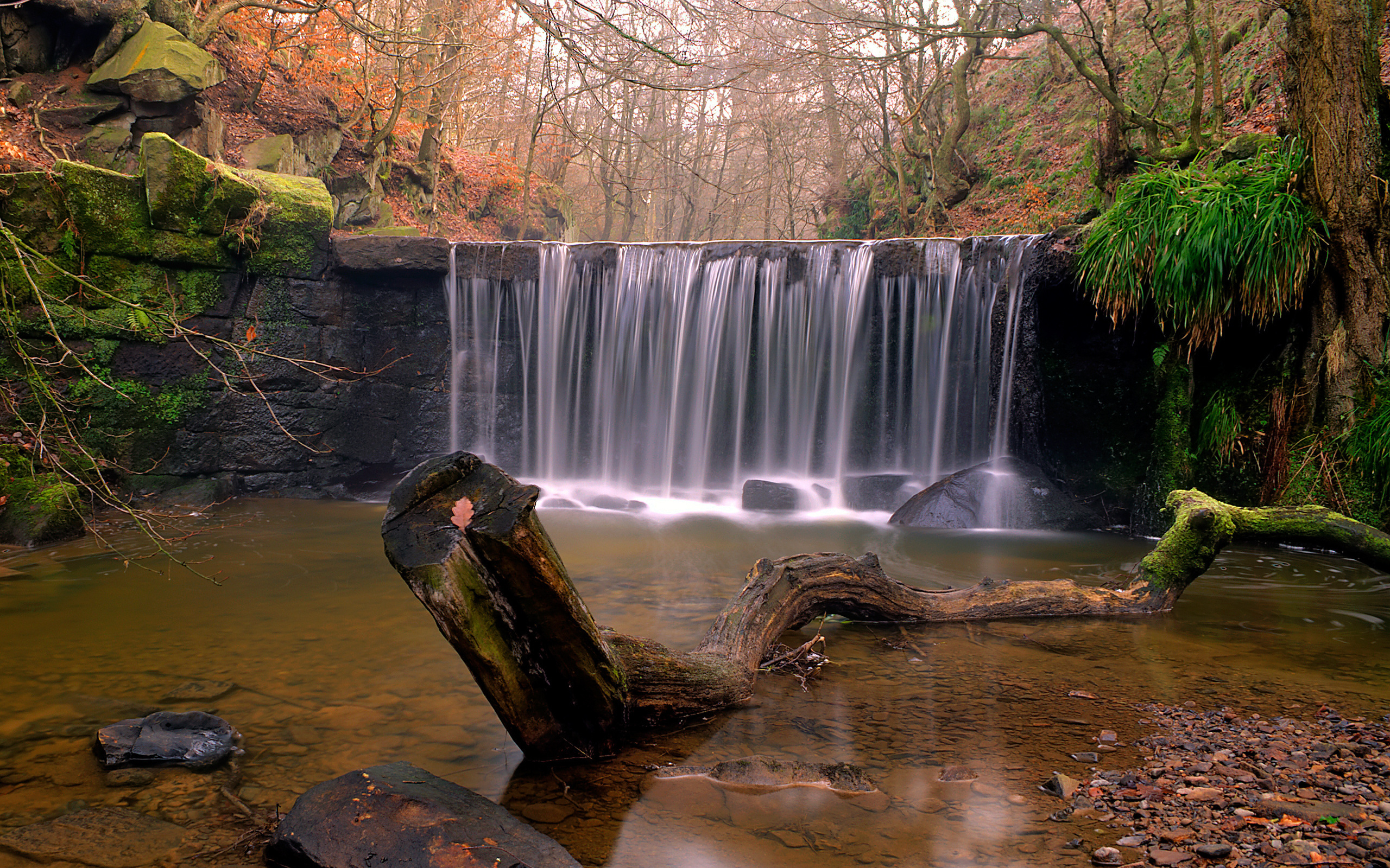 Wallpaper Brown Tree Trunk Near Waterfalls During Daytime, Background ...