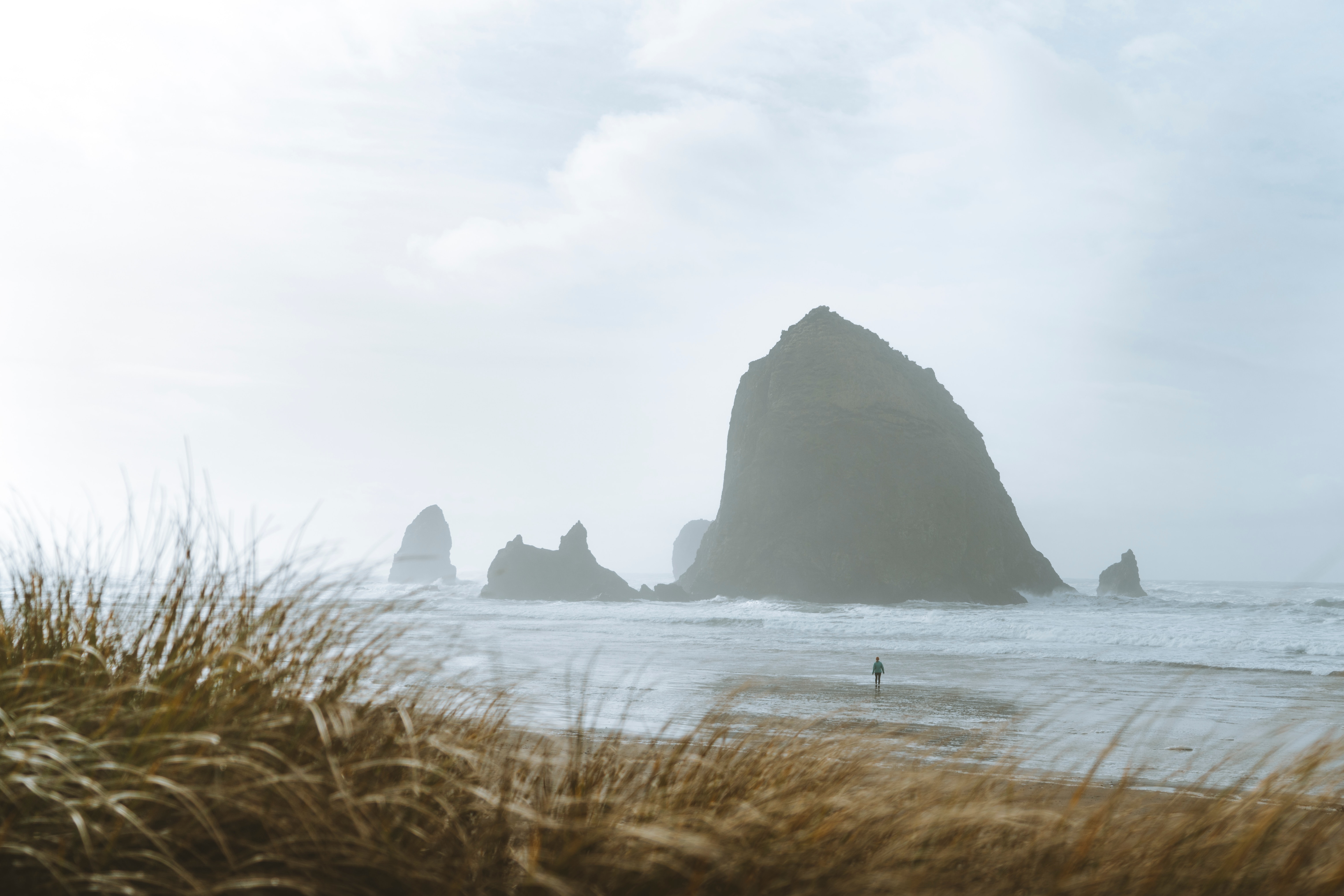 Wallpaper Haystack Rock, Coast, Sea, Rock, Grass Family, Background ...
