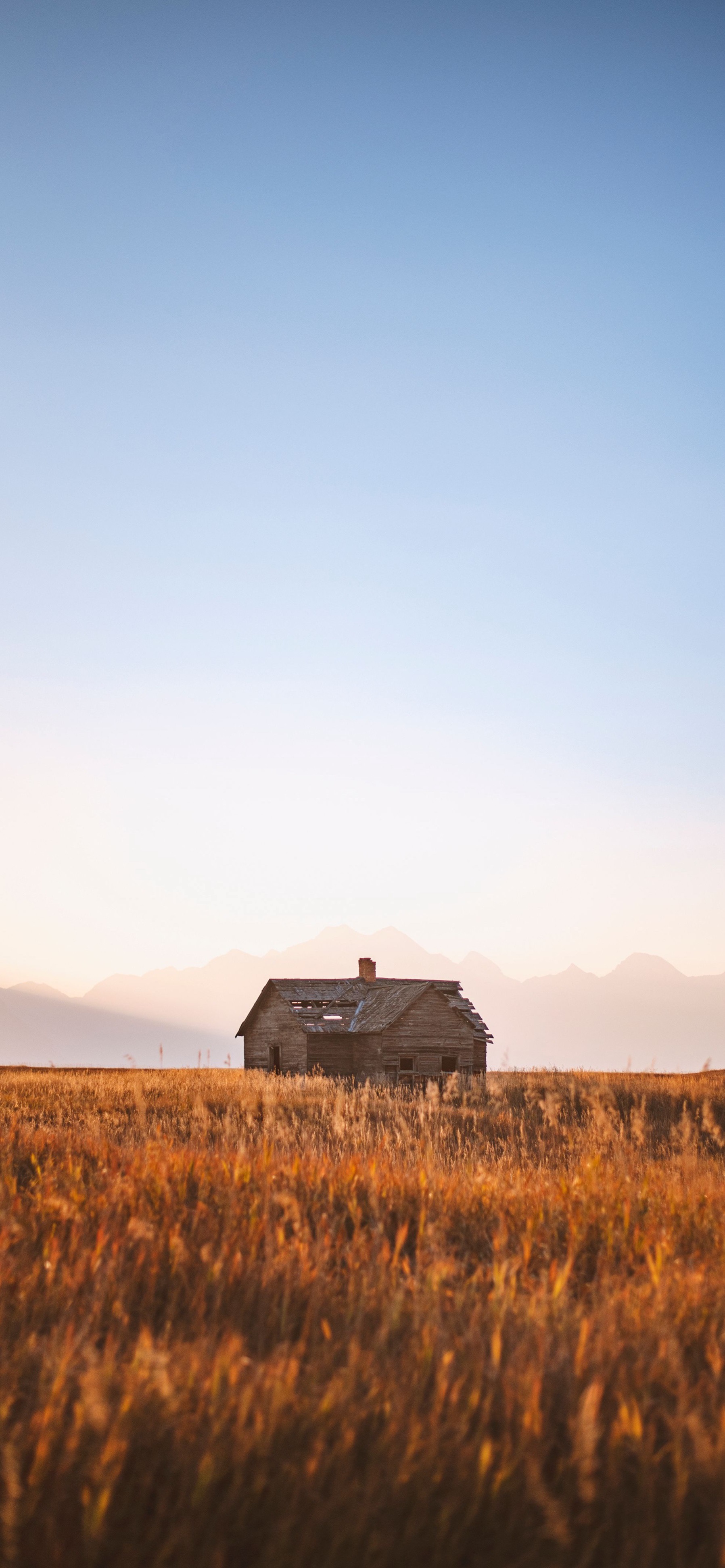 Fondos de Pantalla Futuro, Banda de Tim Raybon, Hierba Azul, Spotify ...