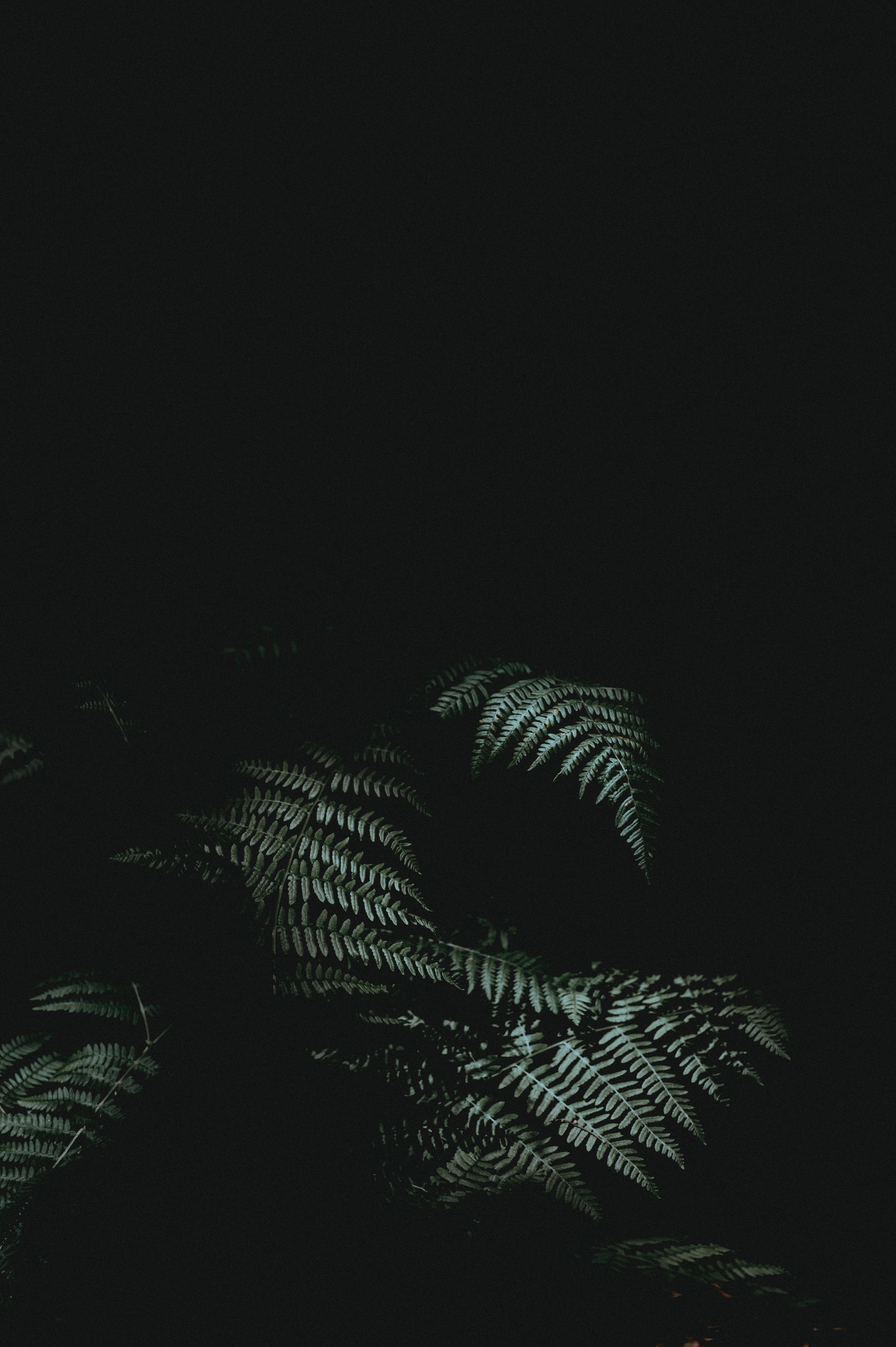 darkness background hd