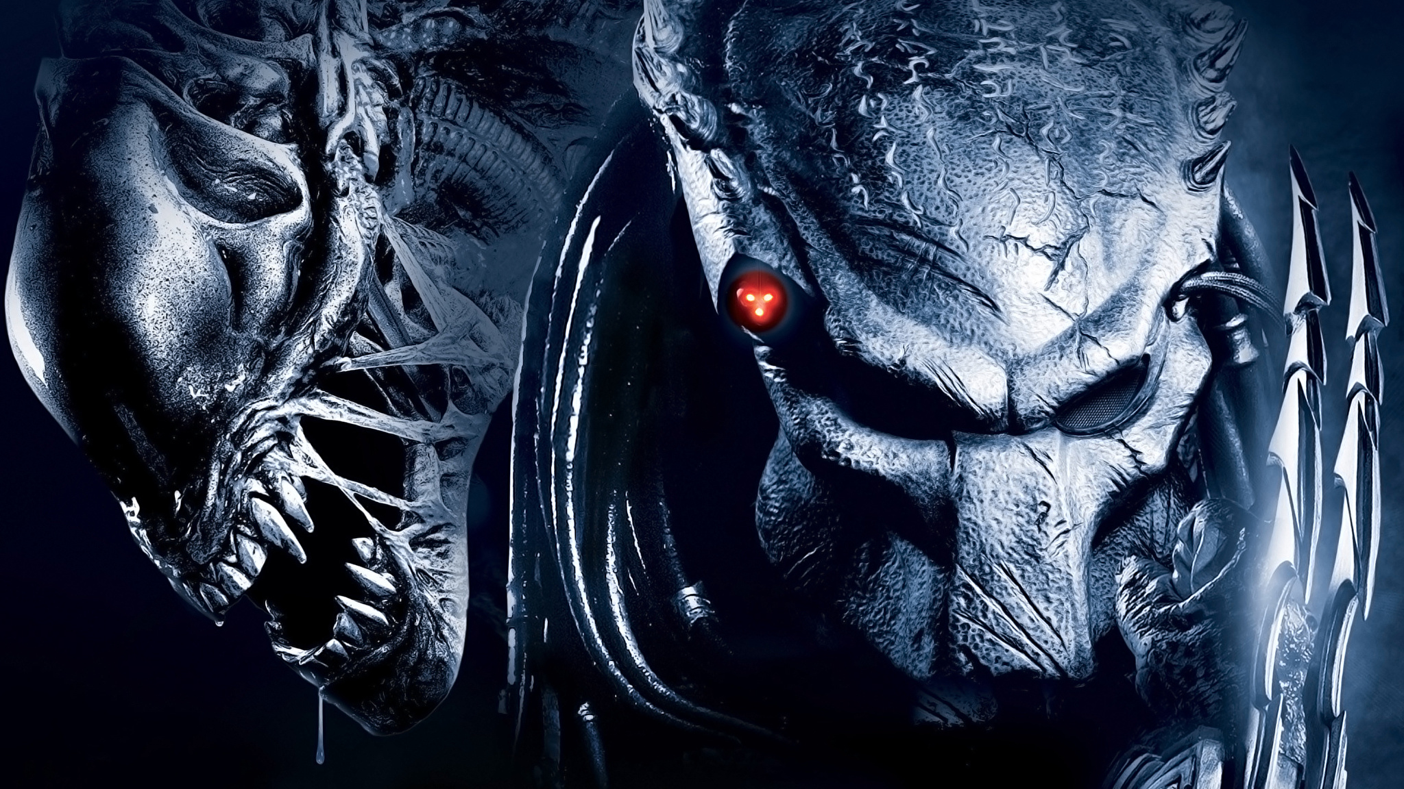 Predator Wallpaper Hd