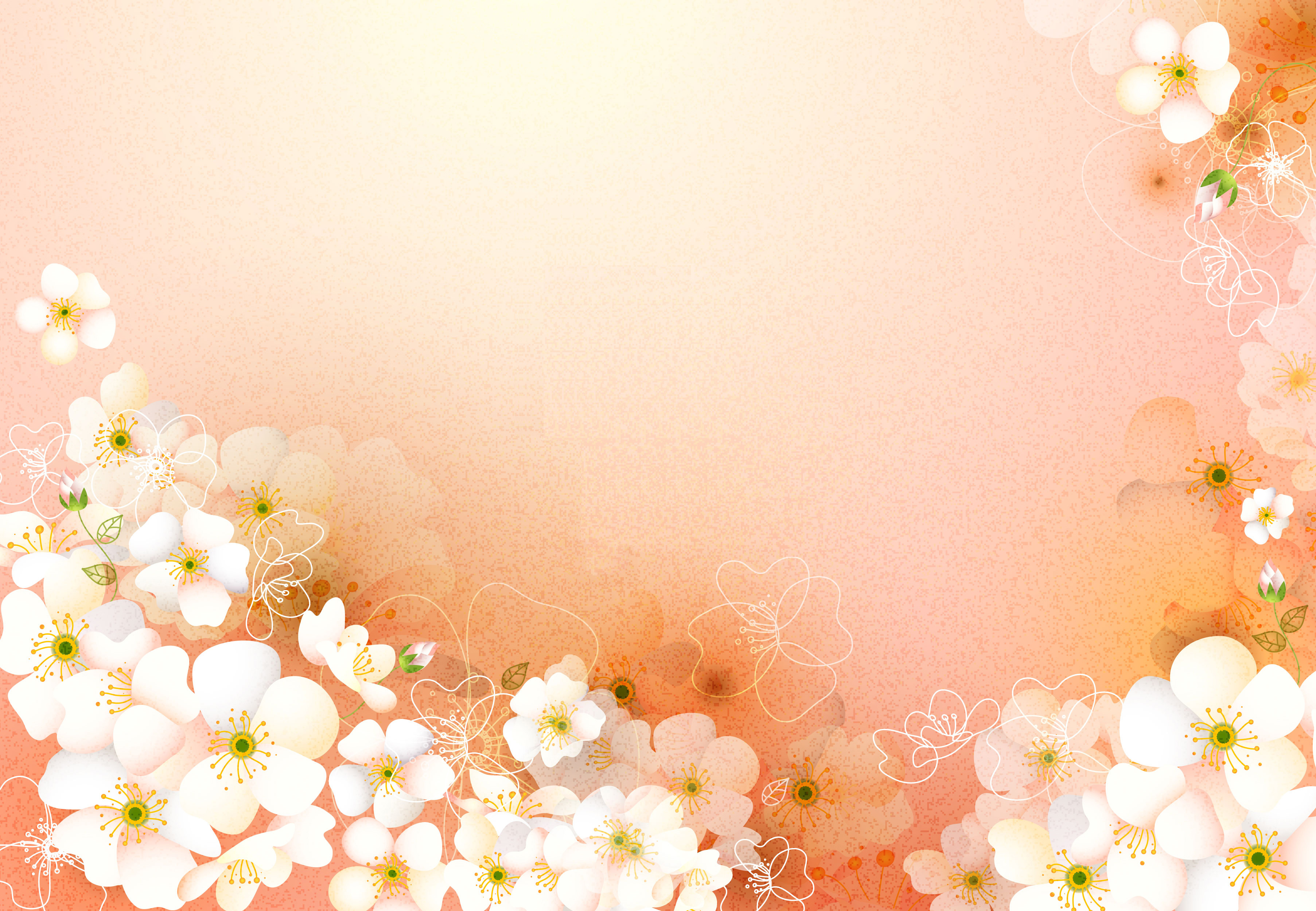 peach background hd