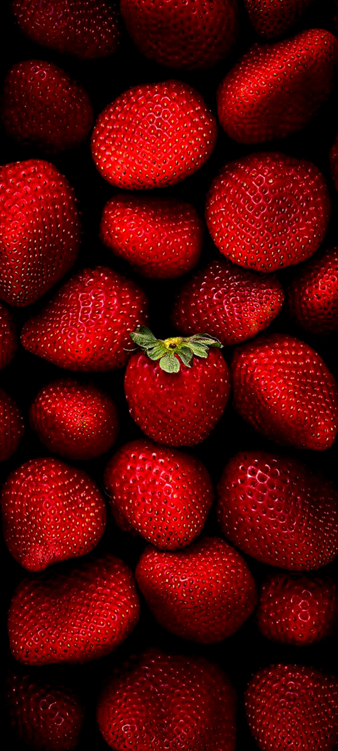 Fondos De Pantalla Fresa Escritorio Comida Fresas HD HD Fondos De