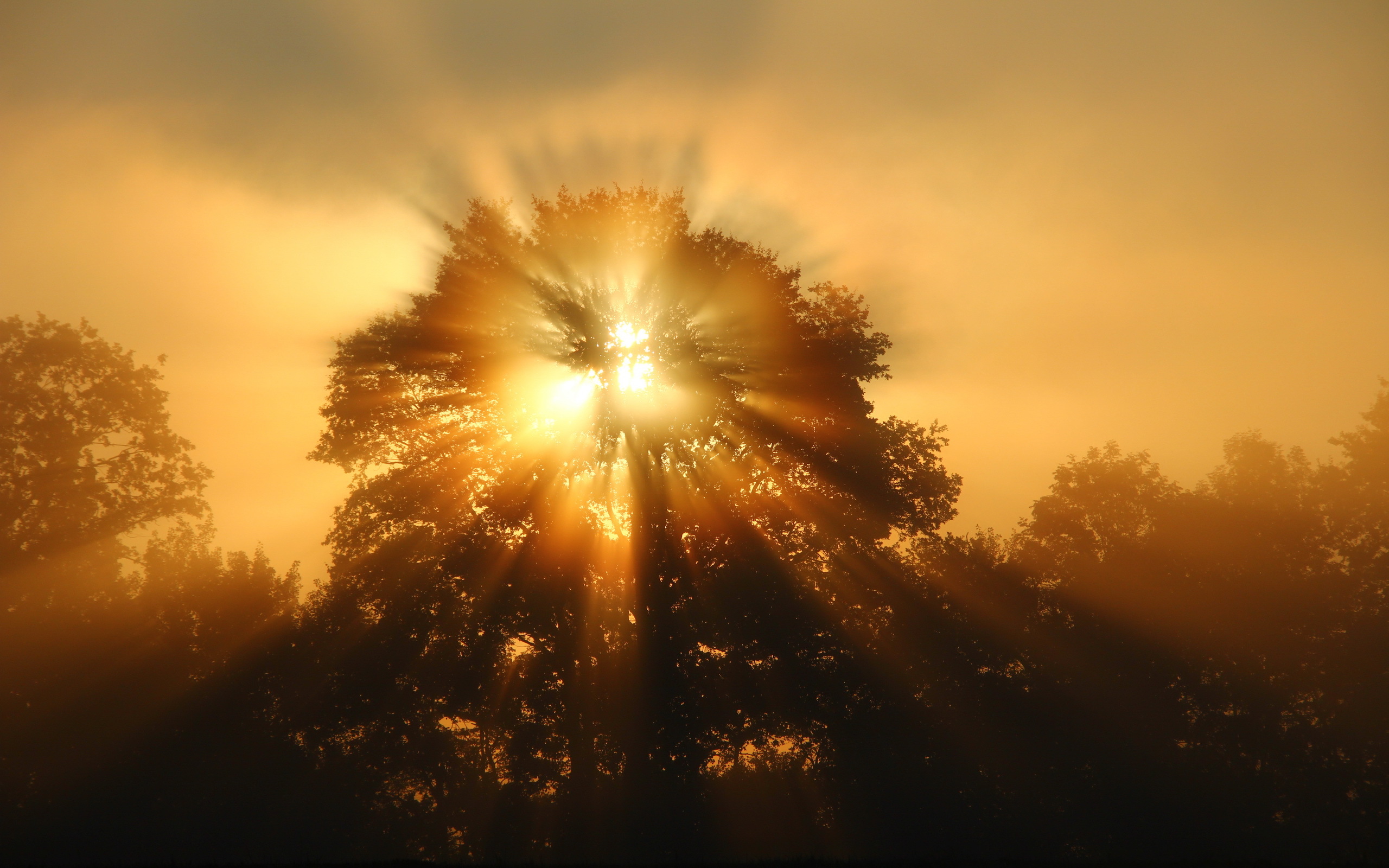 Sun Setting Rays