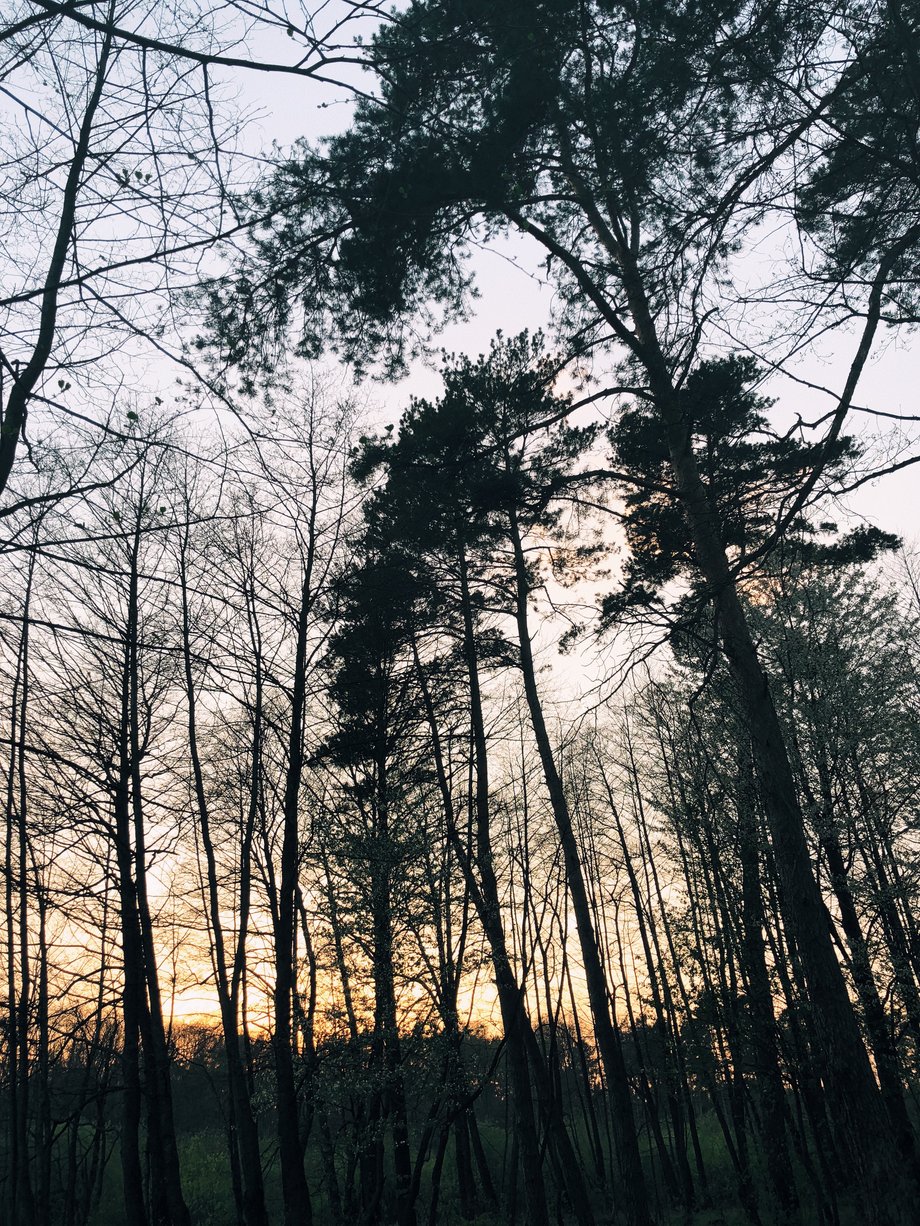 Background Tumblr Nature
