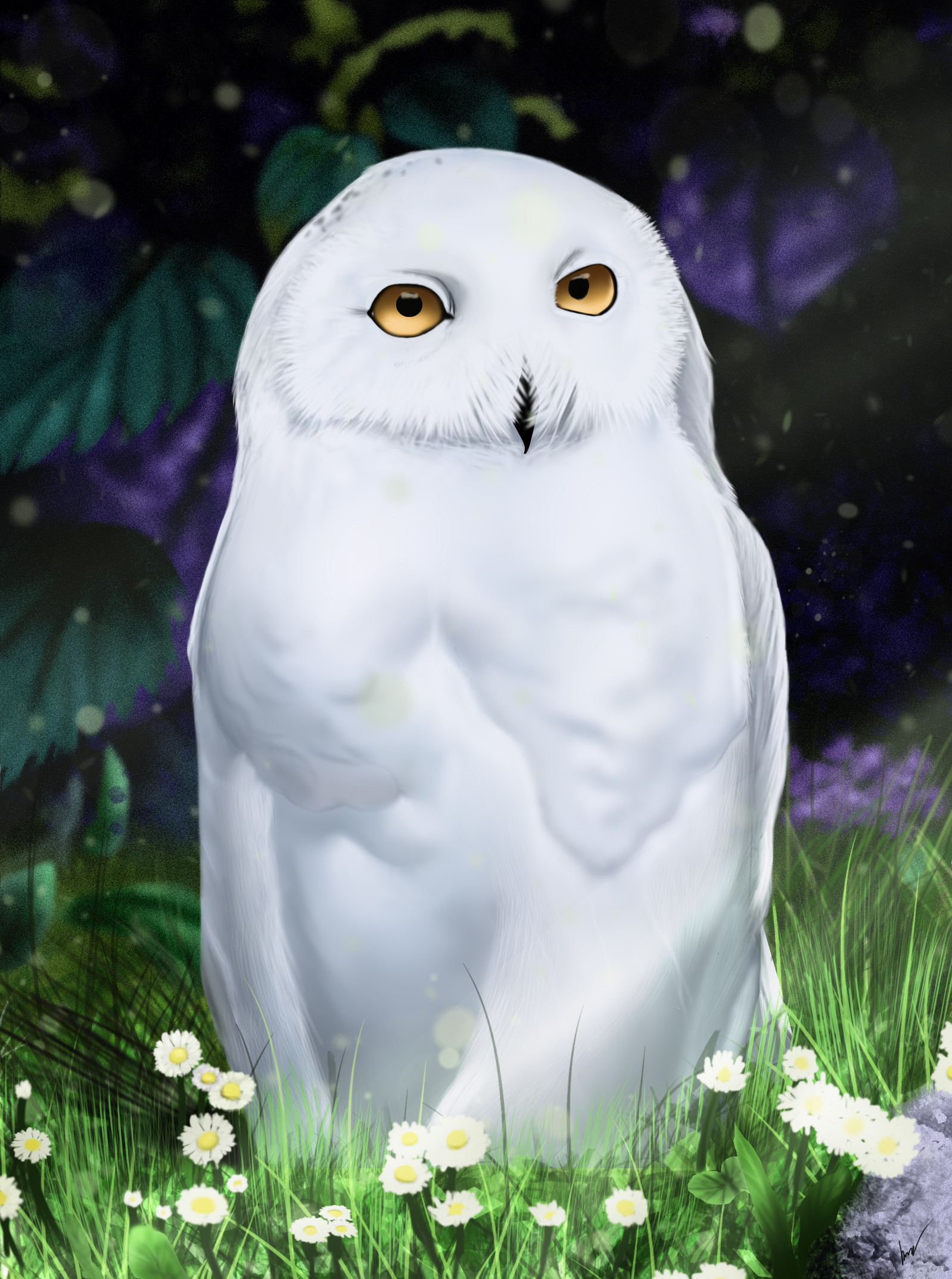 owl background iphone
