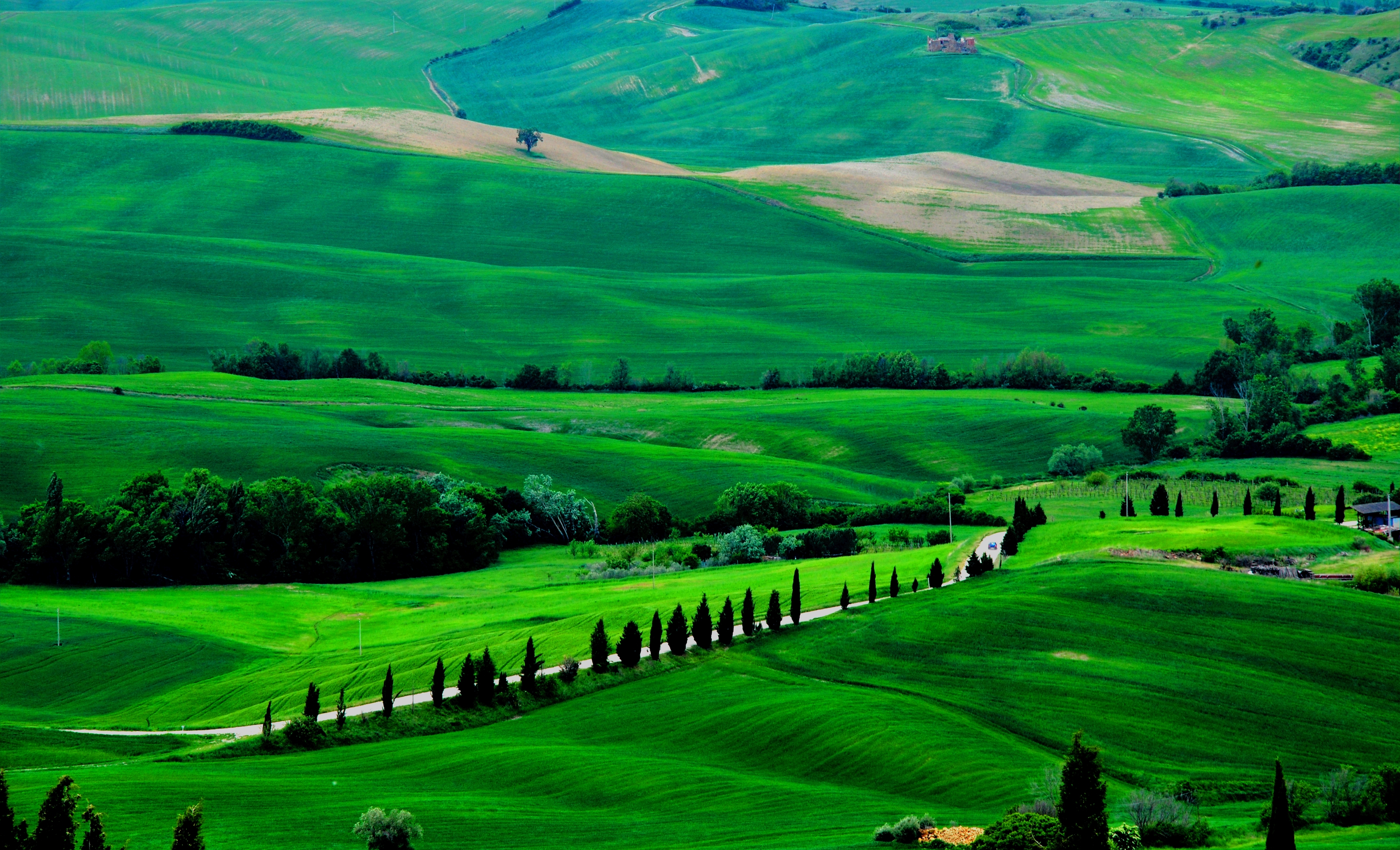 Fondo De Pantalla 1280x800 Colina Verde