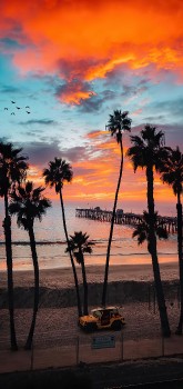 余辉, 性质, 自然环境, 橙色 高清壁纸，花卉 图片，桌面背景和图片