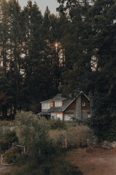 Wallpaper Forest, House, Home, Tree, Building, Background - Download ...