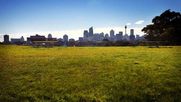 Wallpaper Green Grass Field Near City Buildings During Daytime ...