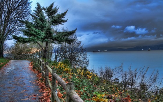 Wallpaper Green Trees Near Body of Water Under Cloudy Sky During ...