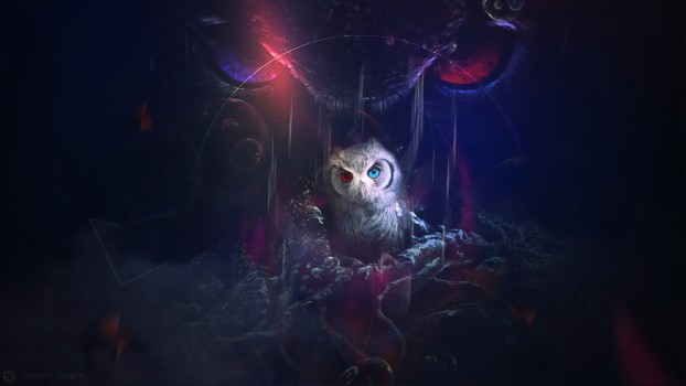 Wallpaper White Owl With Red Light, 8K Ultra HD Background - Download ...