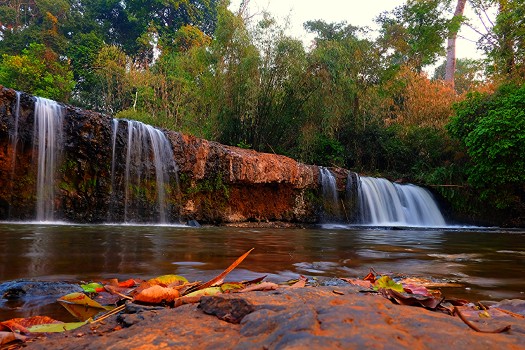 Wallpaper Brown Dried Leaves on Brown Log in Front of Waterfalls ...