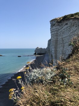 Wallpaper Coast, Promontory, Body of Water, Rock, Headland, Background ...