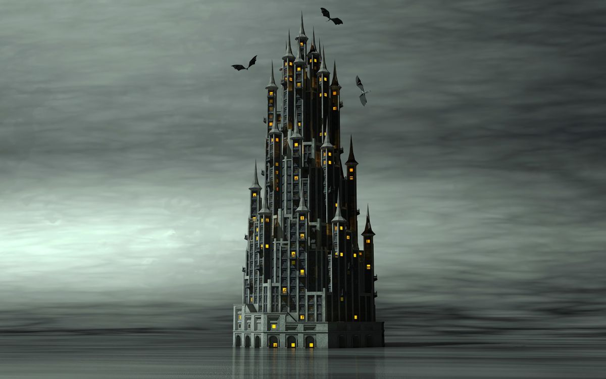 Wallpaper Bird Flying Over High Rise Building During Night Time ...