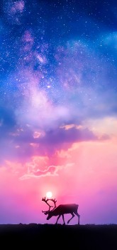 Wallpaper Grpc, Redis, Cloud, Atmosphere, Light, Background - Download ...