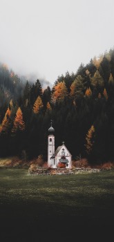 Wallpaper Nature, Plant, Window, Natural Landscape, Tree, Background ...