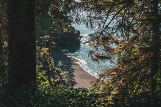 Wallpaper Forest, Nature, Natural Landscape, Water, Natural Environment ...