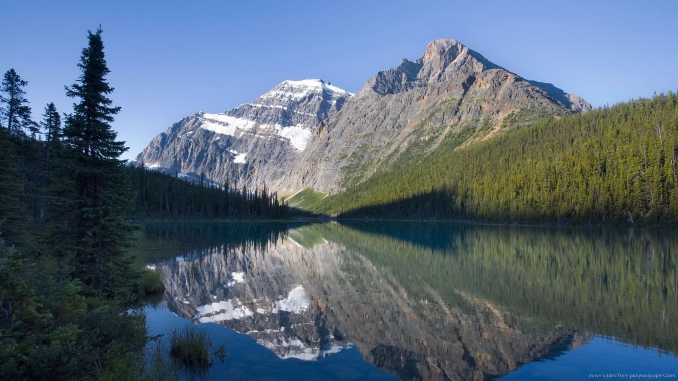 Les Fonds D’écran Arbres Verts Près du Lac et de la Montagne Sous un Ciel Bleu Pendant la ...