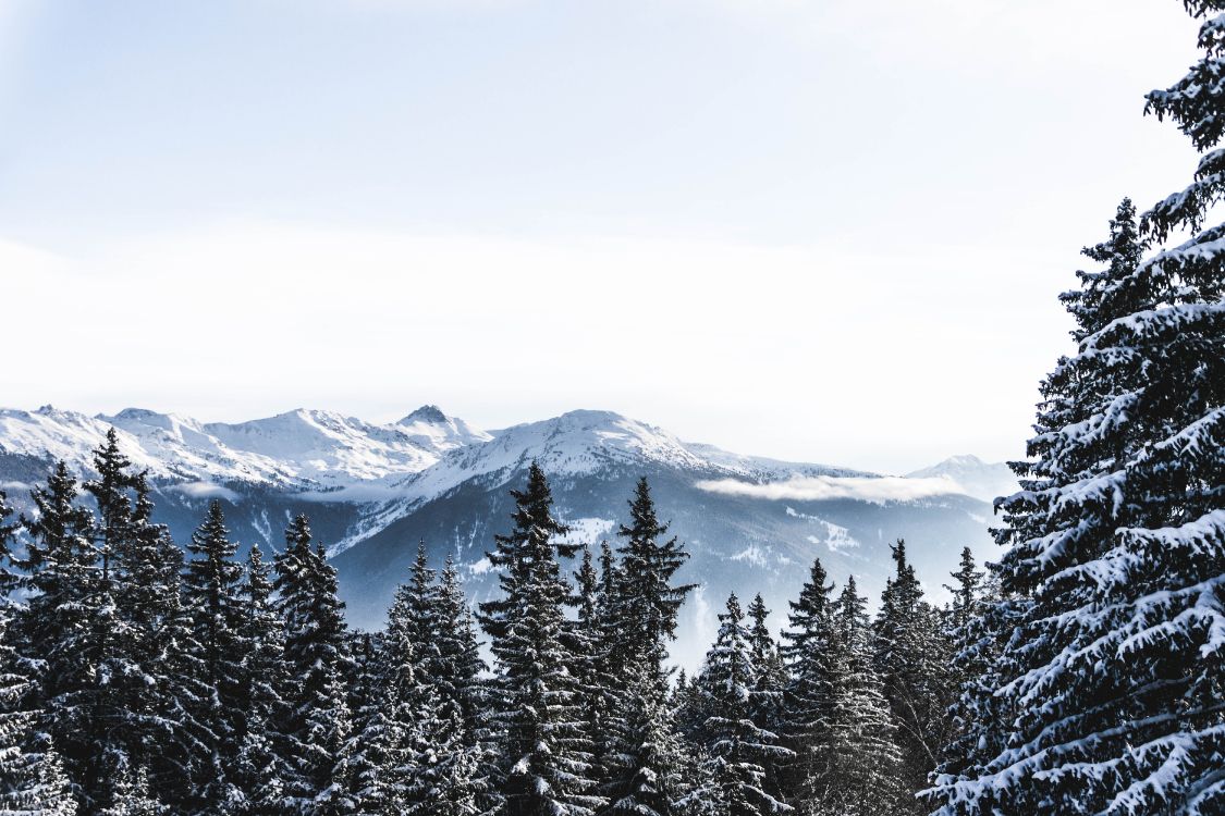 Les Fonds D’écran Suisse, Neige, Hiver, Les Reliefs Montagneux, Gamme ...
