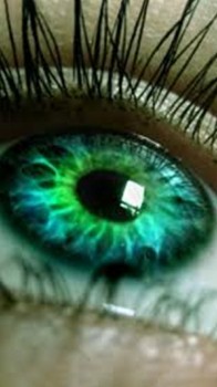 Wallpaper Electric Green Eyes, Eye Color, Contact Lens, Colored, Human ...