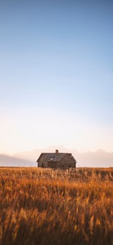 Fondos de Pantalla Futuro, Banda de Tim Raybon, Hierba Azul, Spotify ...