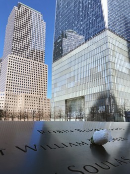 Wallpaper High Rise Building Near Body of Water During Daytime ...