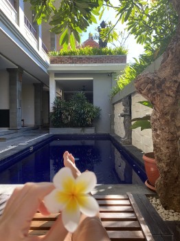 Wallpaper House, Swimming Pool, Real Estate, Property, Petal ...