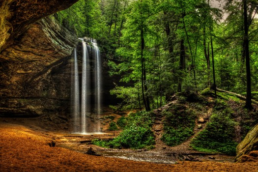 Wallpaper Water Falls in The Middle of Forest, Background - Download ...