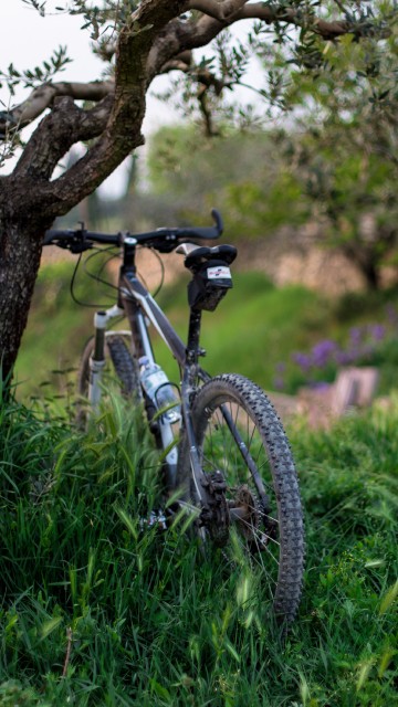 mtb wallpapers for iphone